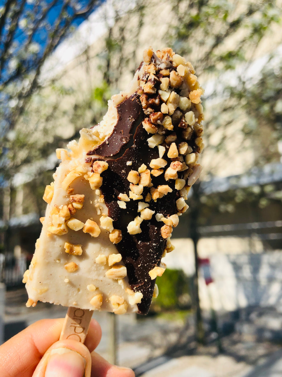 Viennese Crunch - Full Size – Urban Pops